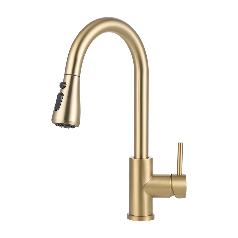 Pull-Out Sensor Kitchen Faucet with LED Light, DM1053 – EVER STRONG