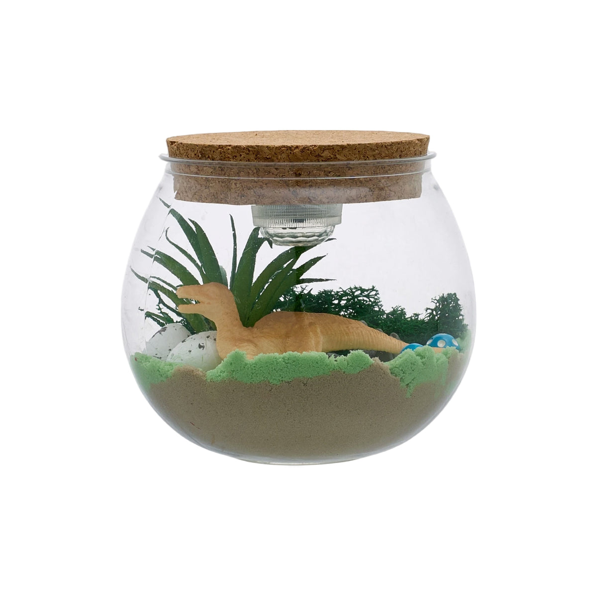 Dinosaur DIY Terrarium Kit for Kids with Adjustable LED Light & Remote ...