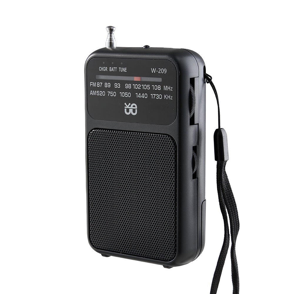 Portable AM FM Pointer Radio with Speaker & Headphone Jack, DF380051 ...